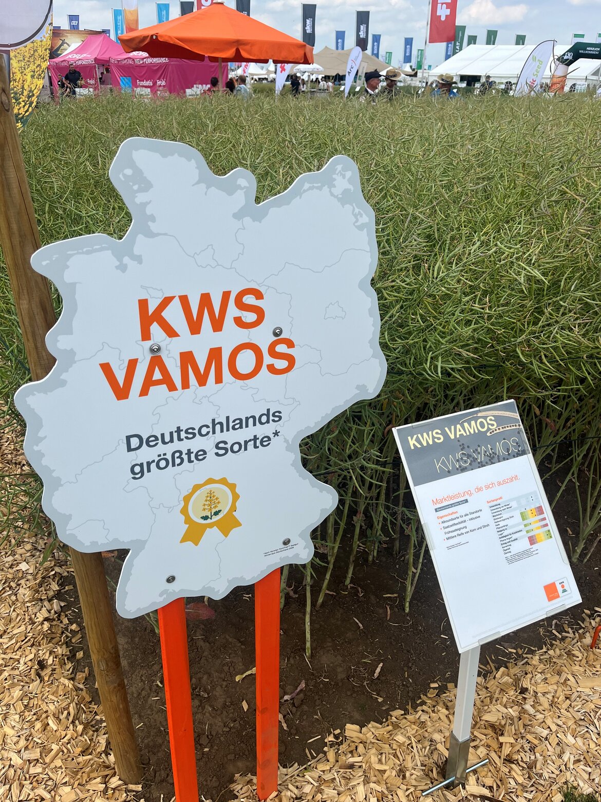 KWS. 170 Jahre erfolgreiche Züchtung - DLG Mitteilungen